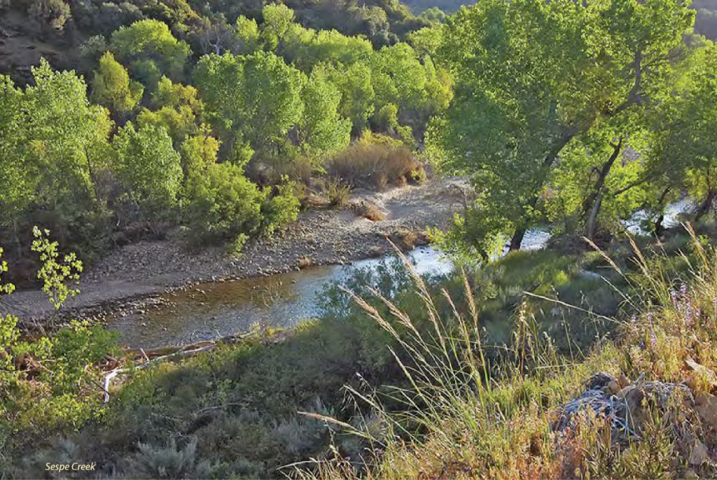 Guide to Native and Invasive Streamside Plants – Friends of the Santa ...