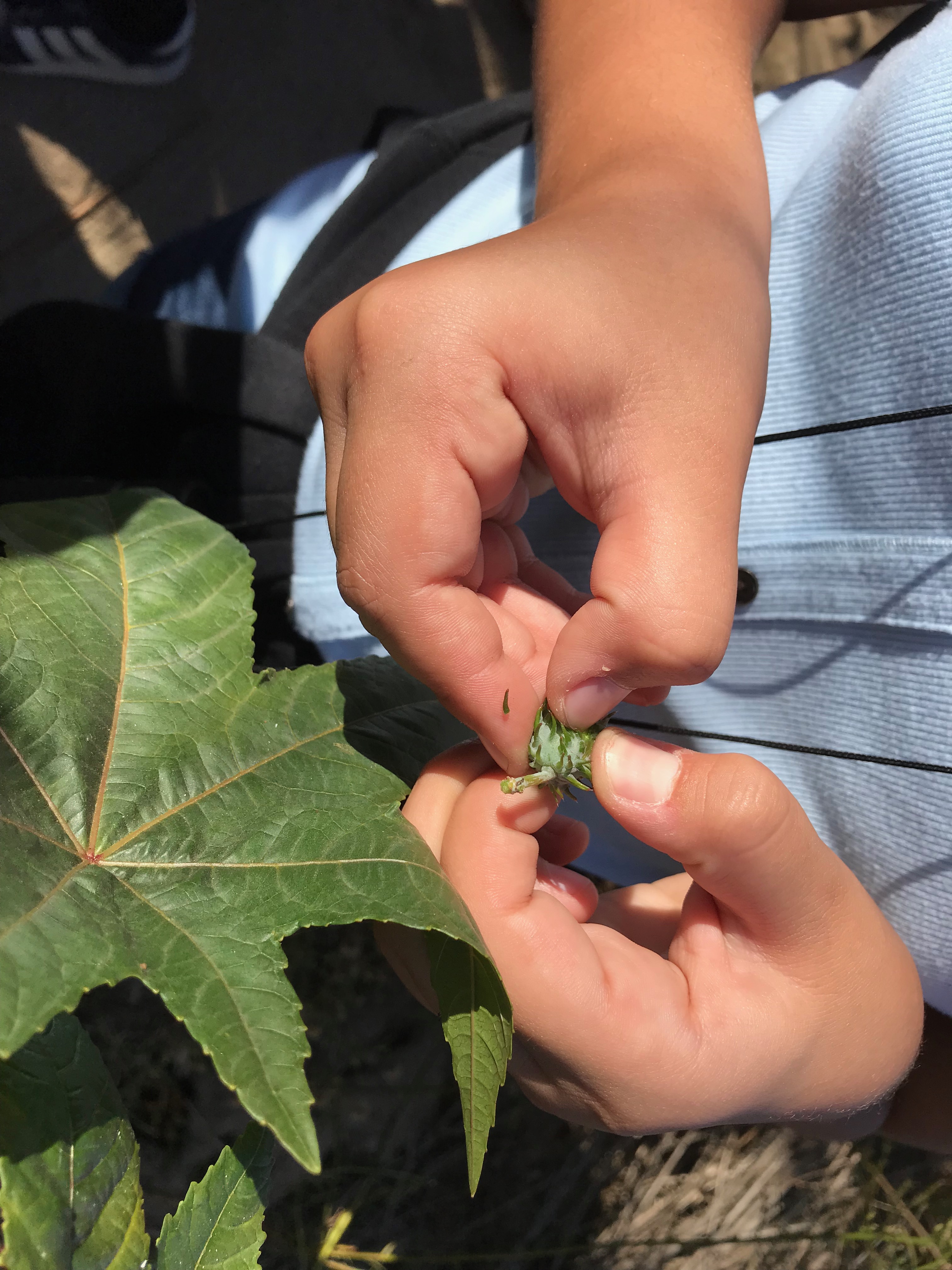 FSCR Takes Kids out for a Taste of the Environment – Friends of the ...