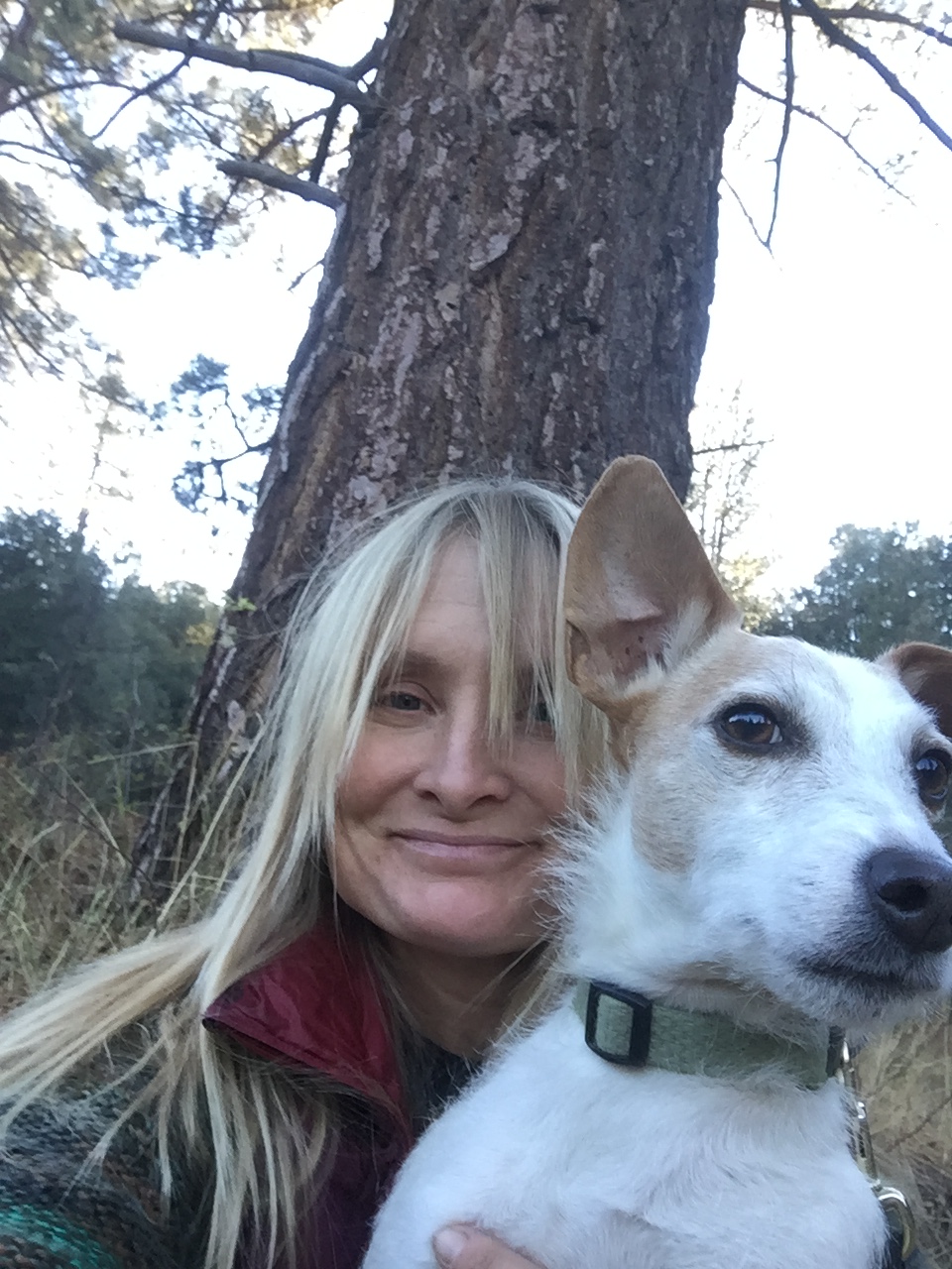 Board of Directors – Friends of the Santa Clara River